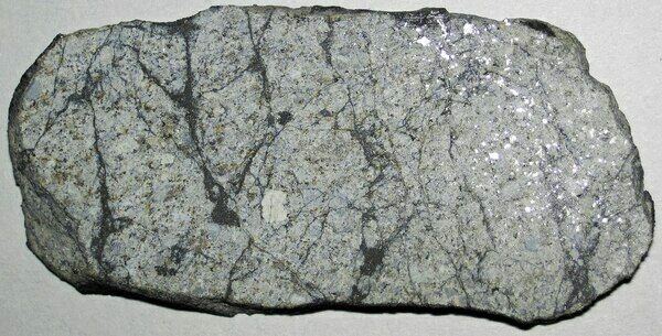 Chondrite Meteorites For Sale - FossilEra.com