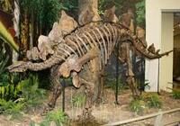 List of State Fossils - FossilEra.com