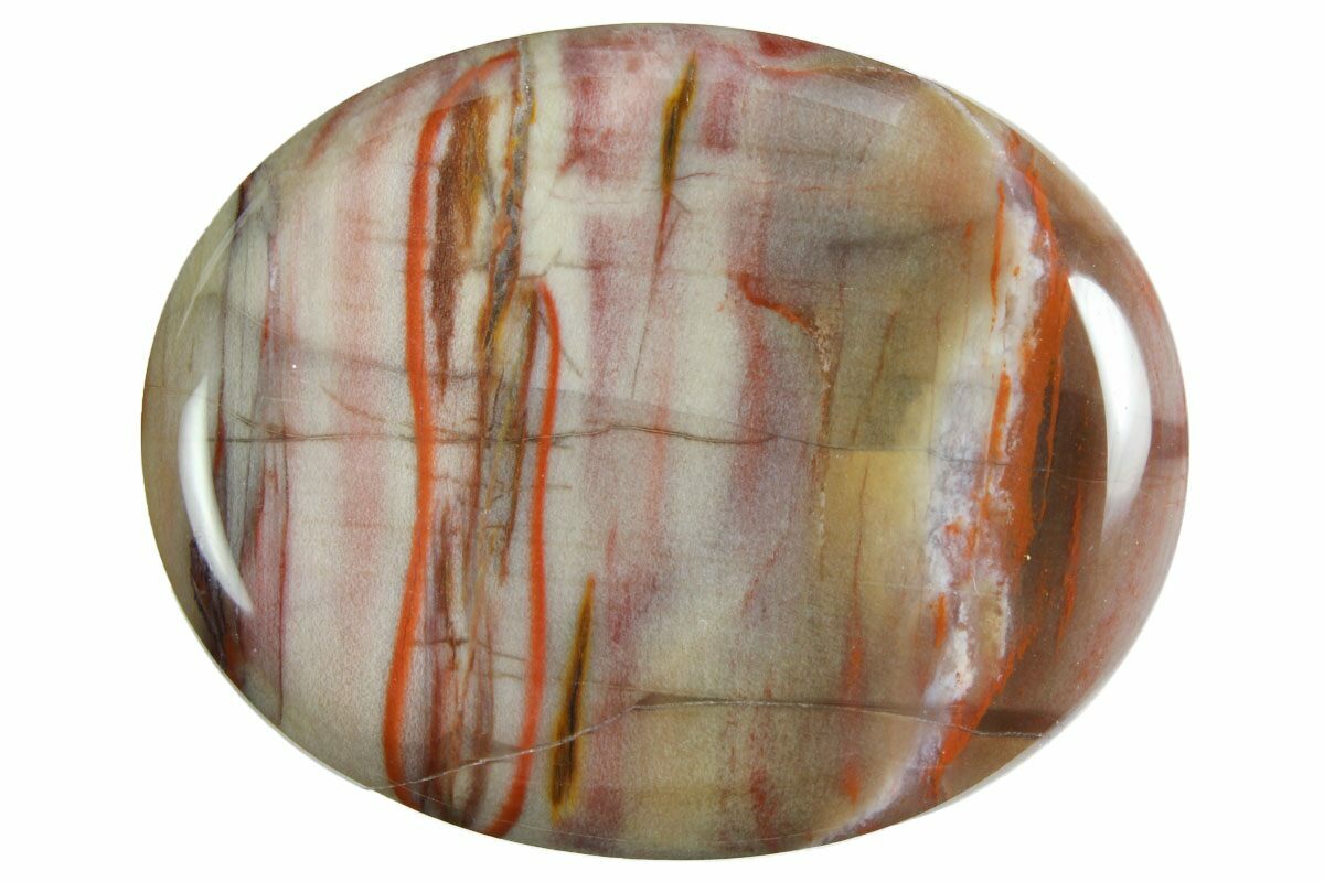 Polished Petrified Wood Worry Stones For Sale - FossilEra.com