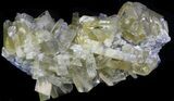 4.5" Gemmy, Golden Barite Crystals - Meikle Mine, Nevada (#33712) For ...