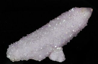 1.18" Cactus Quartz (Amethyst) Crystal - South Africa For Sale (#33755 ...