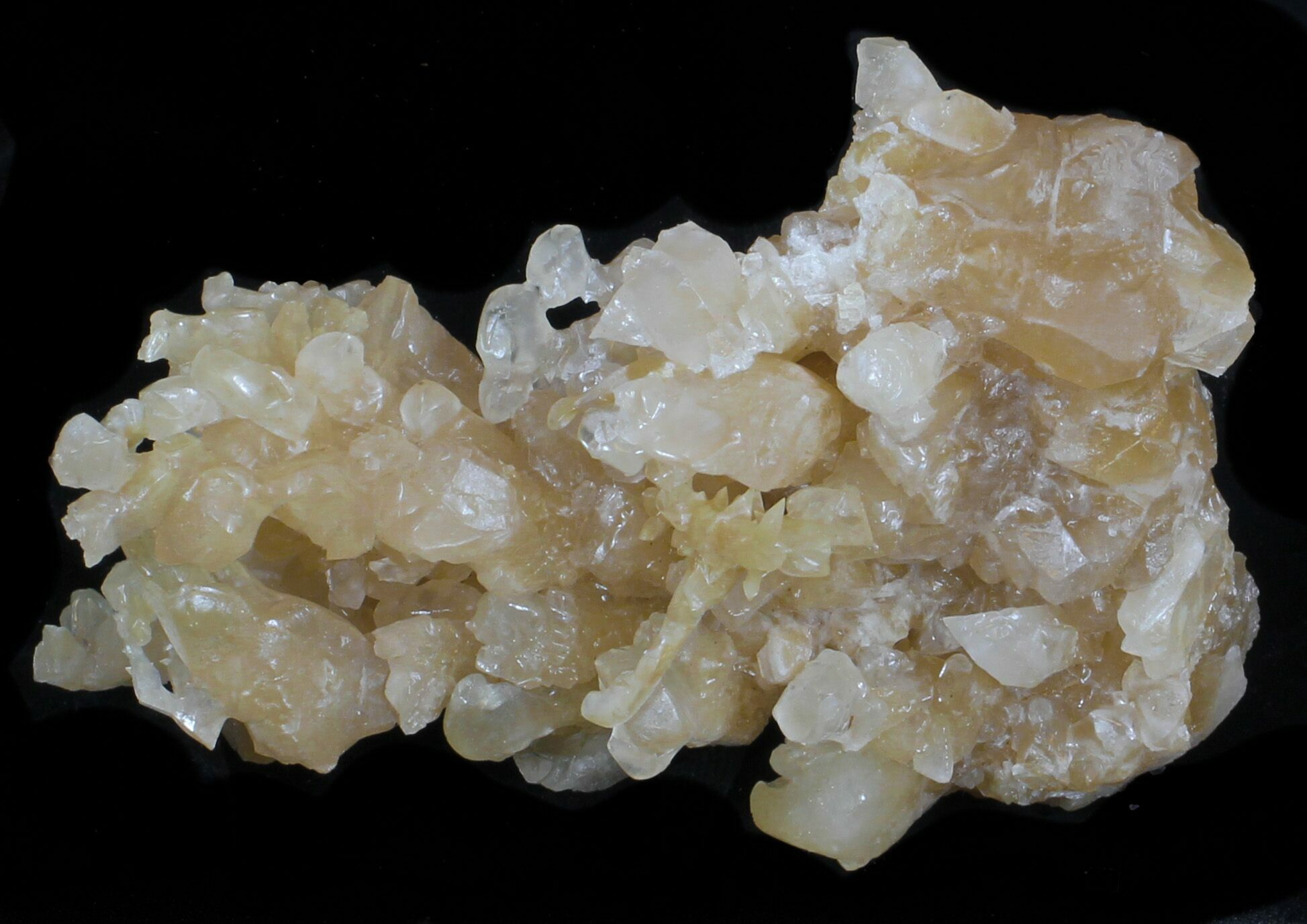 Bargain 4.3" Caramel Calcite Cluster - Mexico (#33742) For Sale ...