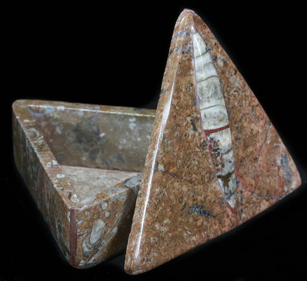 Fossil Orthoceras Box (Triangle) - Stoneware (#35272) For Sale ...