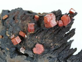 Vanadinite For Sale - FossilEra.com