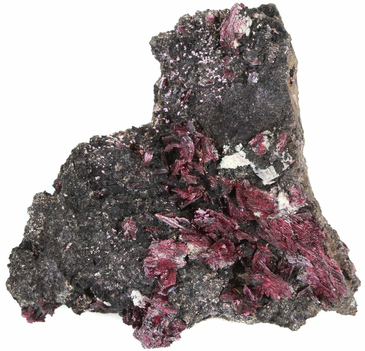 2.5" Magenta Erythrite Cystals on Matrix (#43204) For Sale - FossilEra.com