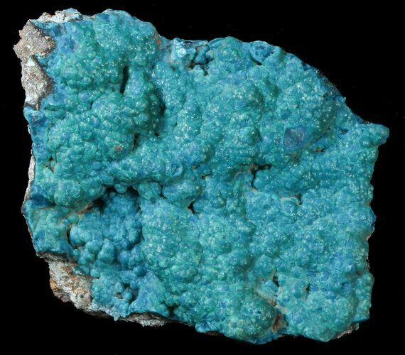 4" Botryoidal Blue Chrysocolla - Congo (#45275) For Sale - FossilEra.com