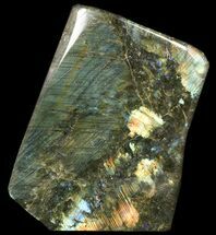 Labradorite For Sale - FossilEra.com