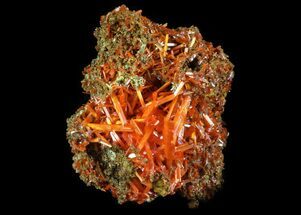 5.2" Cut/Polished Vivianite Nodule - Demons Bluff, Australia For Sale ...