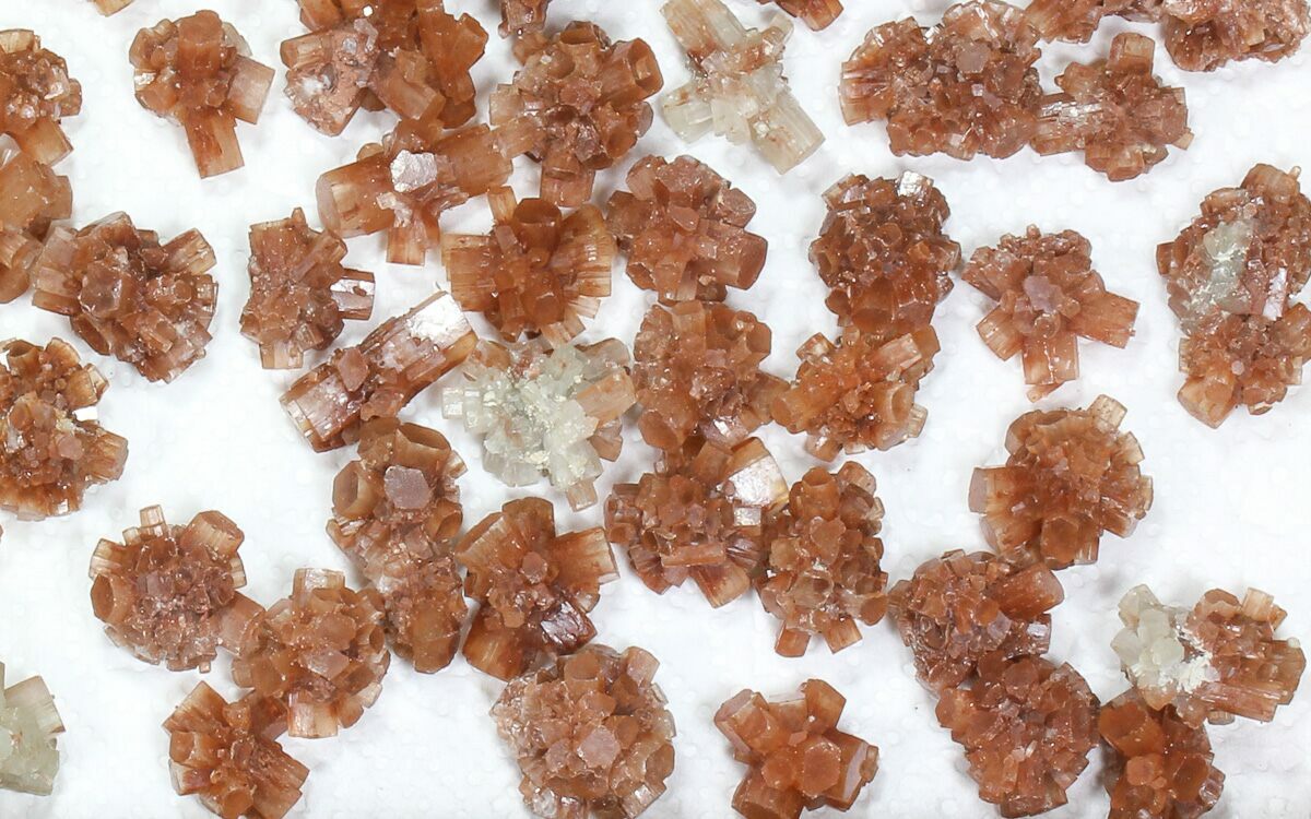Lot: Small Twinned Aragonite Crystals - 130 Pieces (#77160) For Sale ...