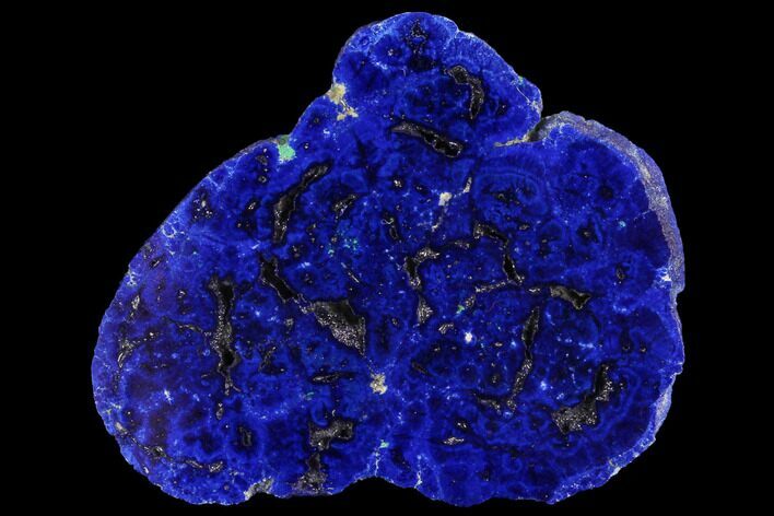 2.2" Vibrant, Cut/Polished Azurite Nodule - Siberia (#93463) For Sale ...
