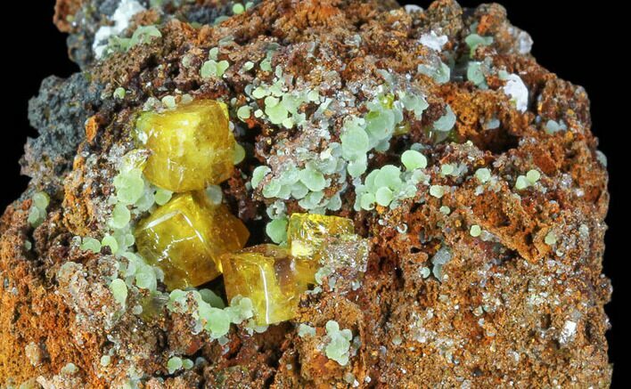 2" Wulfenite & Green Botryoidal Mimetite Association - Mexico (#103519 ...