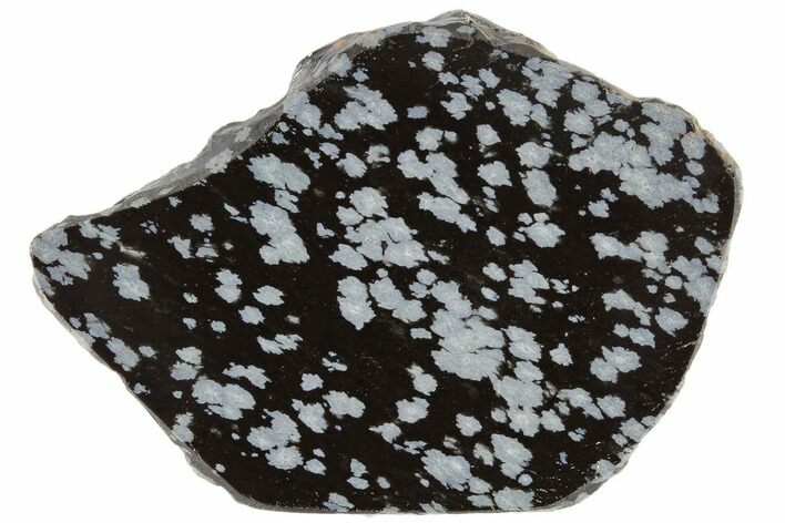 3.1" Polished Snowflake Obsidian Slab - Utah (#114202) For Sale ...