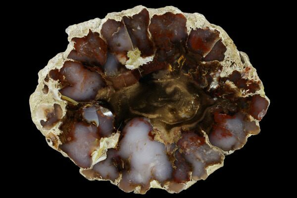 Agate, Chalcedony & Jasper - What’s the Difference? - FossilEra.com