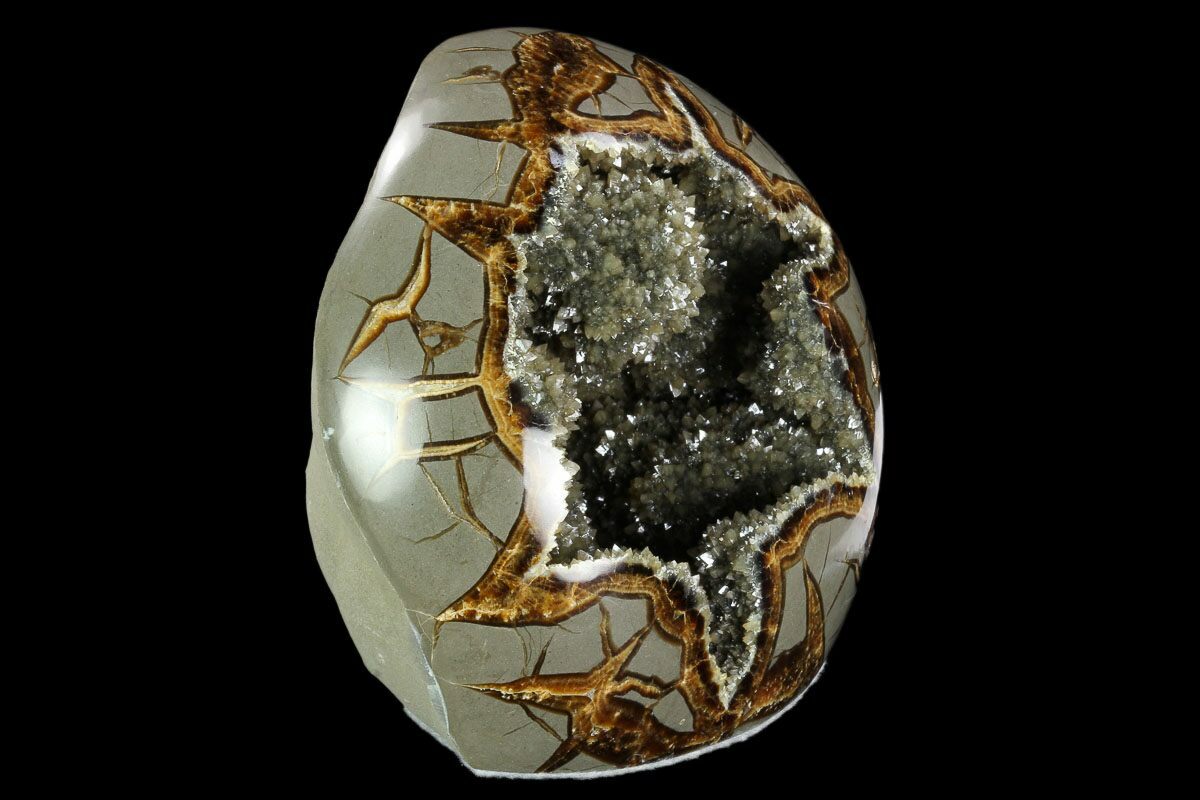 4.9" Polished Septarian Nodule - Utah For Sale (#123867) - FossilEra.com