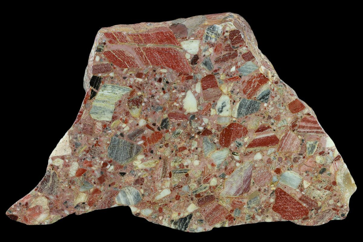 7" Polished Chert Breccia Slab - Western Australia For Sale (#132929 ...