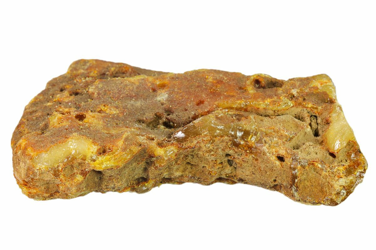 3.6" Rough Colombian Copal (Young Amber) (#135233) For Sale - FossilEra.com