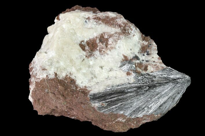 3" Metallic, Needle-Like Pyrolusite Cystals - Morocco (#140994) For ...