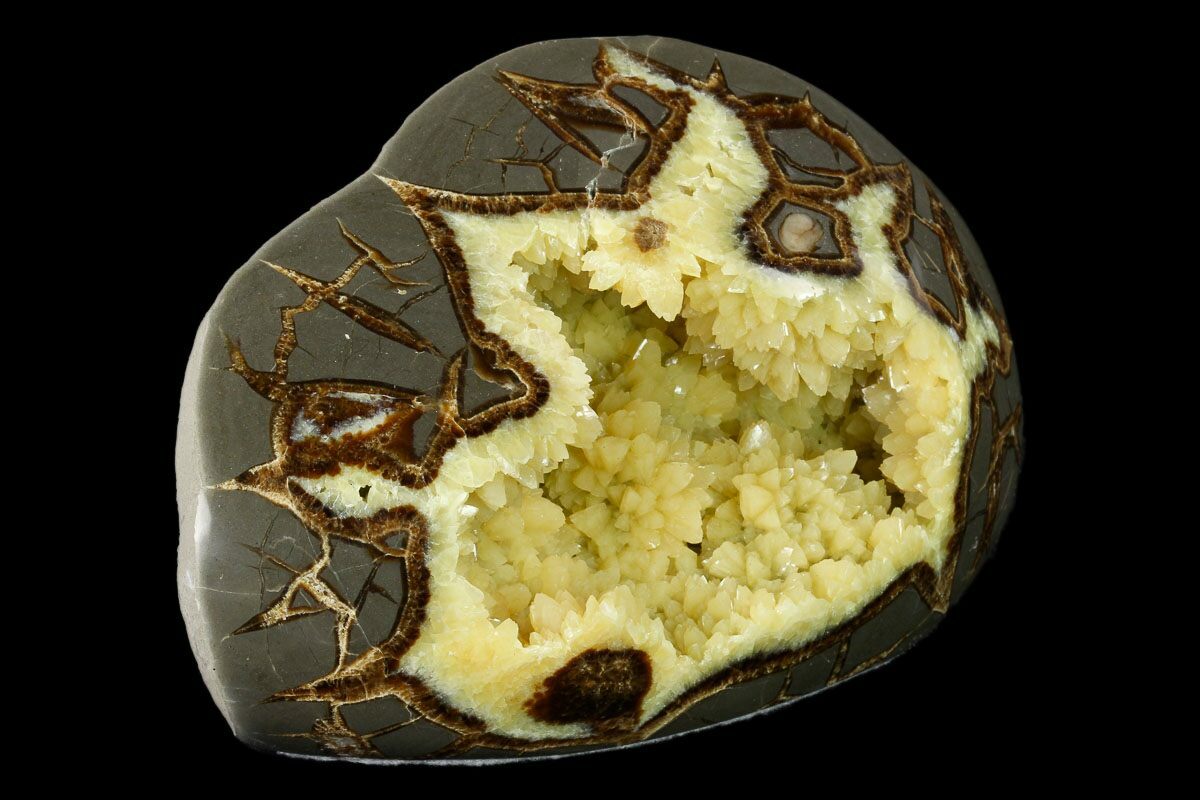 6.2" Wide, Crystal Filled Septarian Nodule - Utah For Sale (#149957 ...