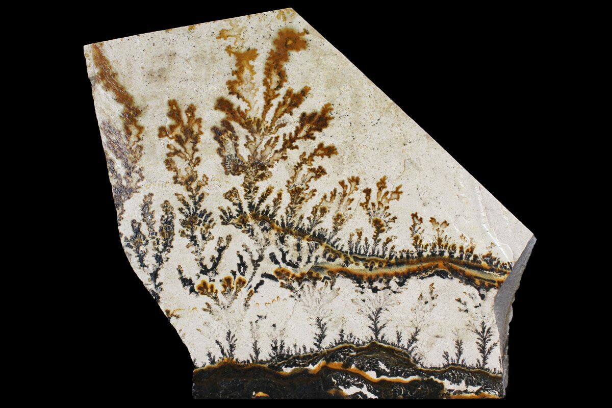 14" Dendrites On Limestone - Utah (#150497) For Sale - FossilEra.com
