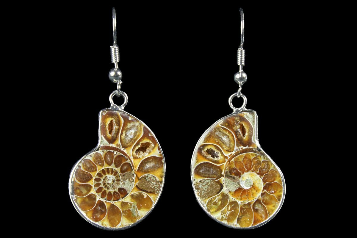 Fossil Ammonite Earrings - 110 Million Years Old (#152028) For Sale ...