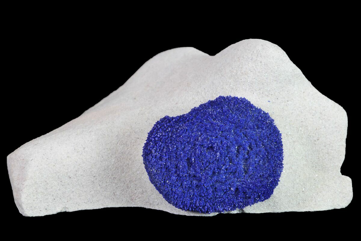 .52" Vibrant, Blue Azurite Sun on Siltstone - Australia (#155623) For ...