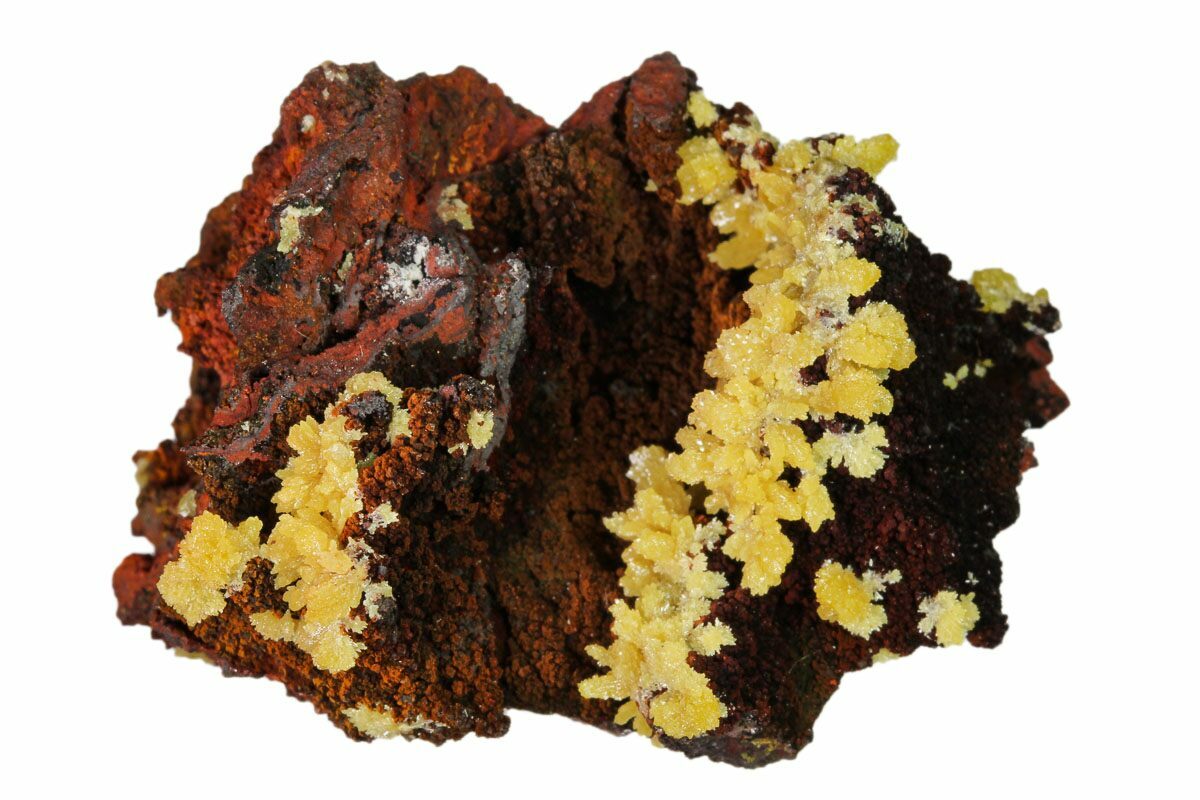 1.7" Mimetite Crystal Clusters on Limonitic Matrix - Mexico (#157090 ...