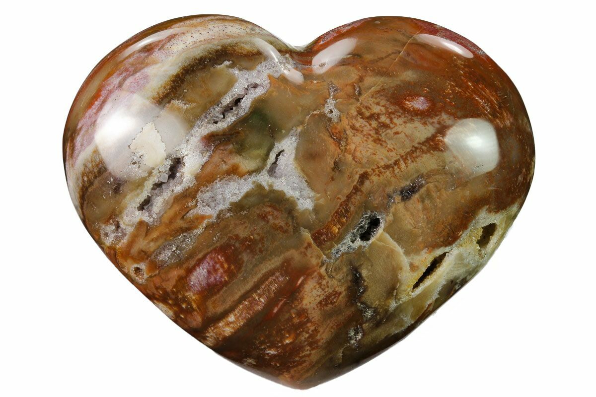 4.5" Polished Triassic Petrified Wood Heart - Madagascar (#139989) For ...
