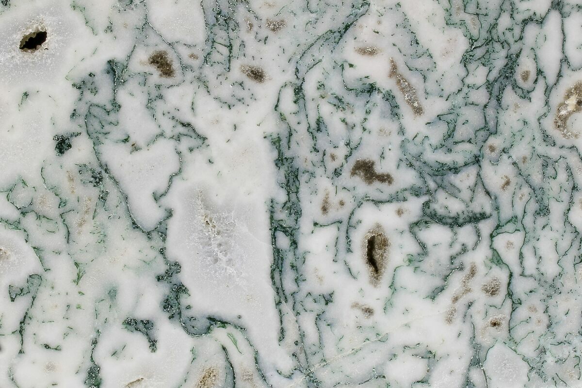 6" Polished Tree Agate Slab - India (#167478) For Sale - FossilEra.com