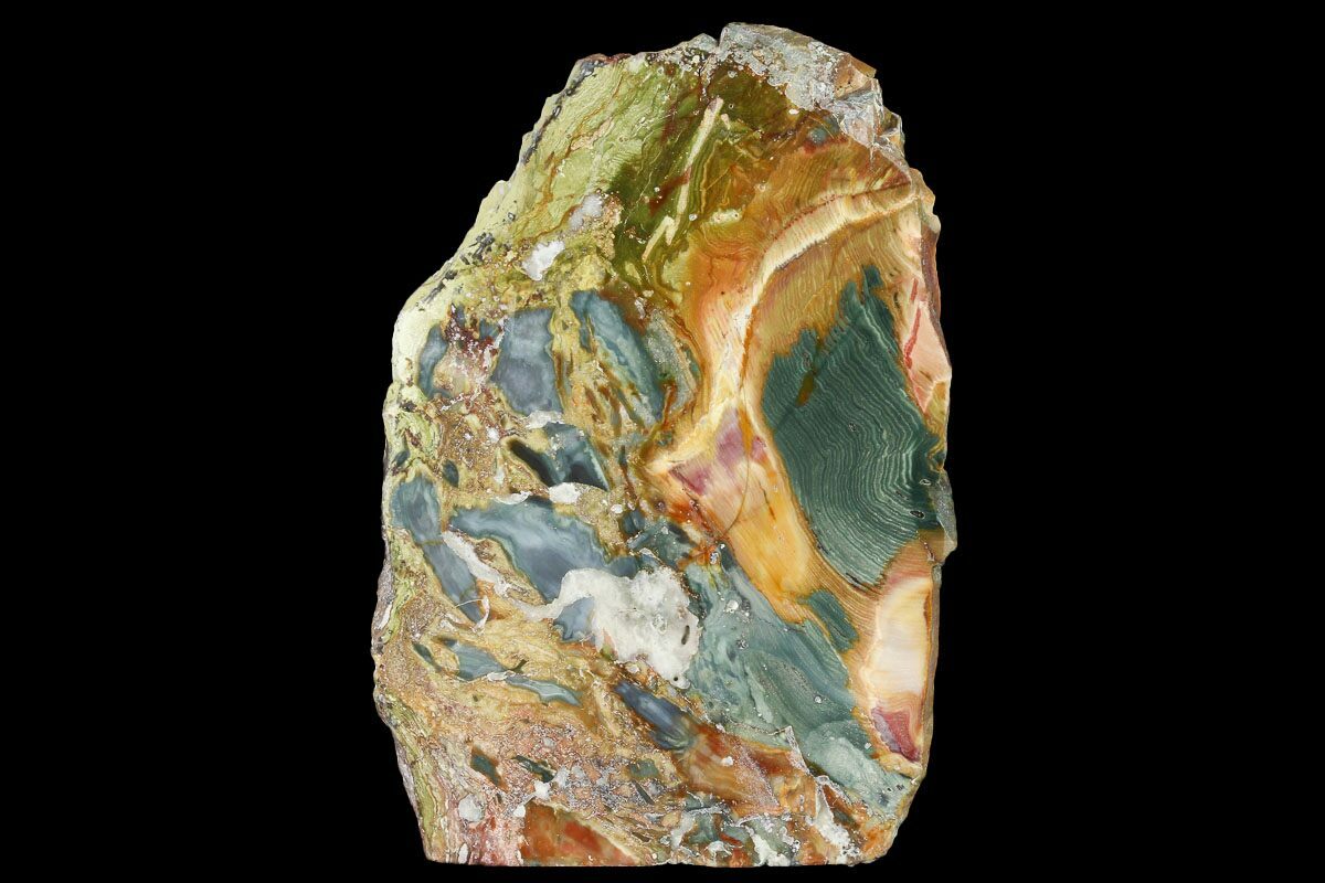 4.45" Gary Green Jasper (Larsonite) Bog Wood Stand Up - Oregon (#167750 ...