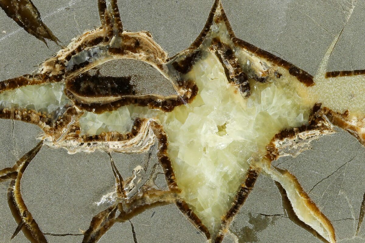 2.8" Polished Septarian Nodule Half - Utah (#169391) For Sale ...