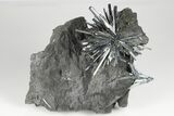 Metallic Stibnite Crystal Spray On Matrix - Xikuangshan Mine, China ...