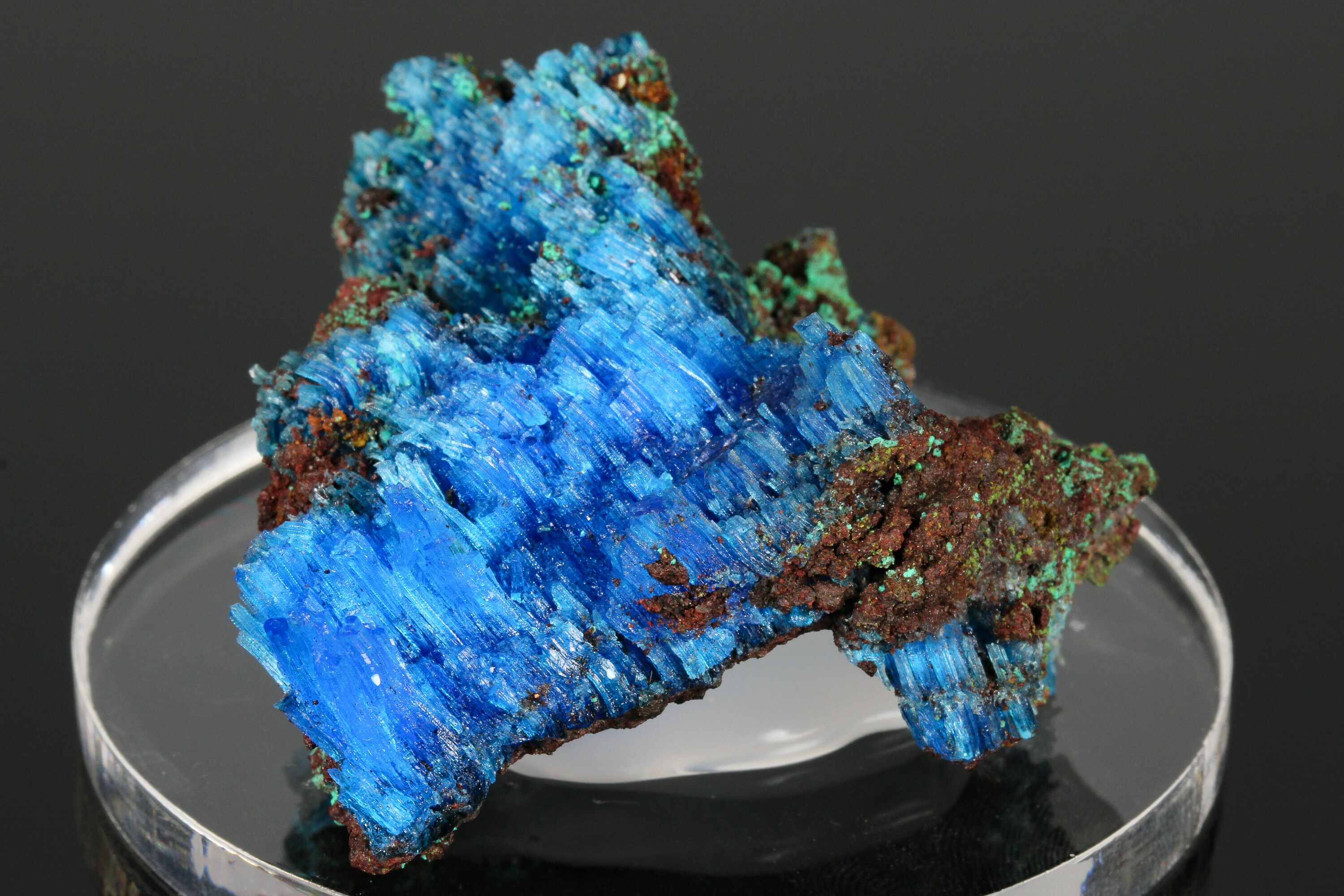 1.9" Vibrant Blue Chalcanthite - Planet Mine, Arizona (#175319) For ...
