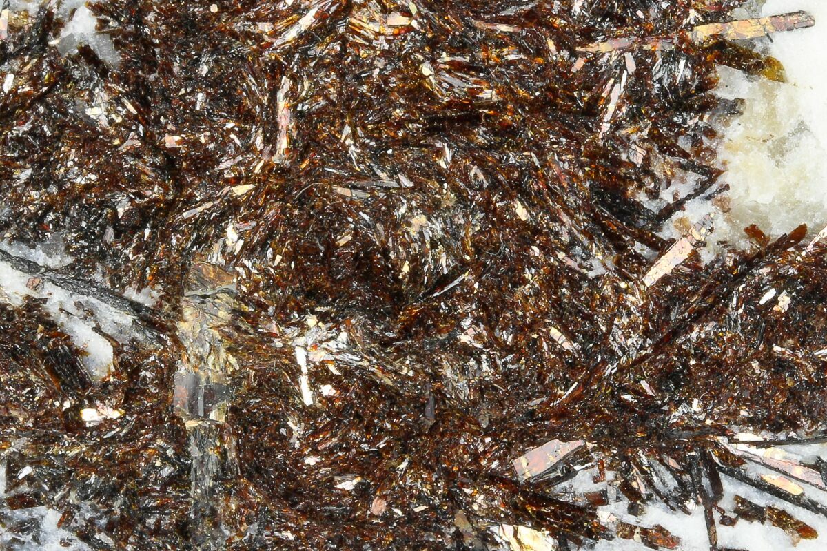 2" Golden-Brown, Radiating Astrophyllite - Kola Peninsula, Russia ...