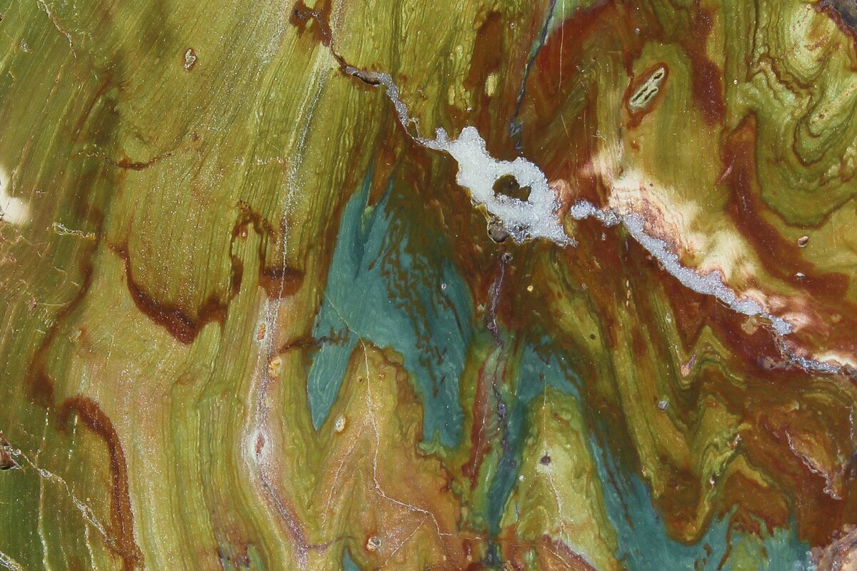 4.05" Polished, Gary Green (Larsonite) Petrified Wood - Oregon (#181923 ...