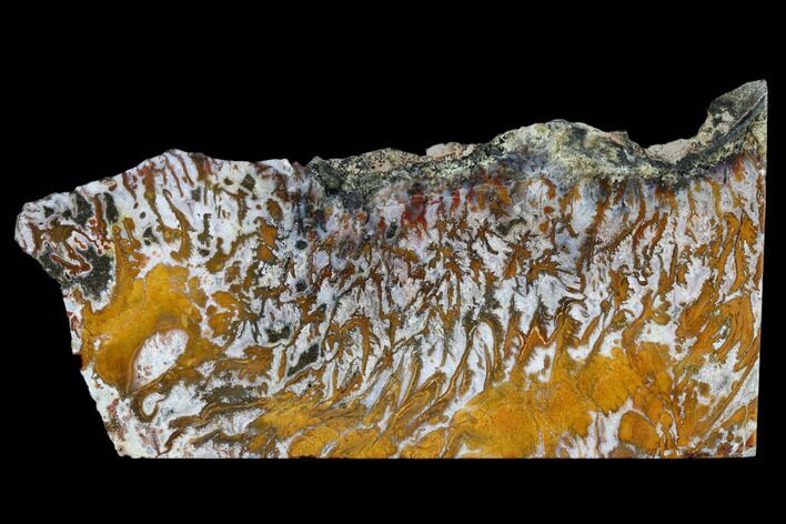5.4" Wingate Pass Plume Agate Slab - California (#184796) For Sale ...