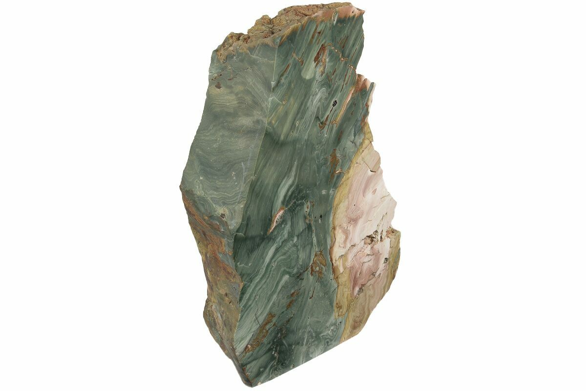 7.3" Gary Green Jasper (Larsonite) Bog Wood Stand Up - Oregon (#185125 ...