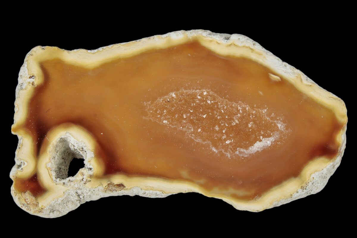 1.8" Agatized Fossil Coral - Florida (#188175) For Sale - FossilEra.com