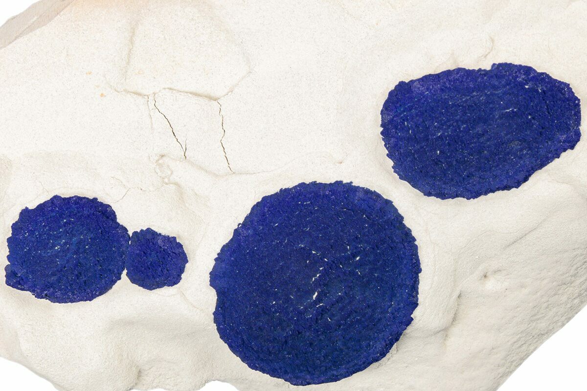 Vibrant Blue Azurite Suns on Siltstone - Australia (#188412) For Sale ...