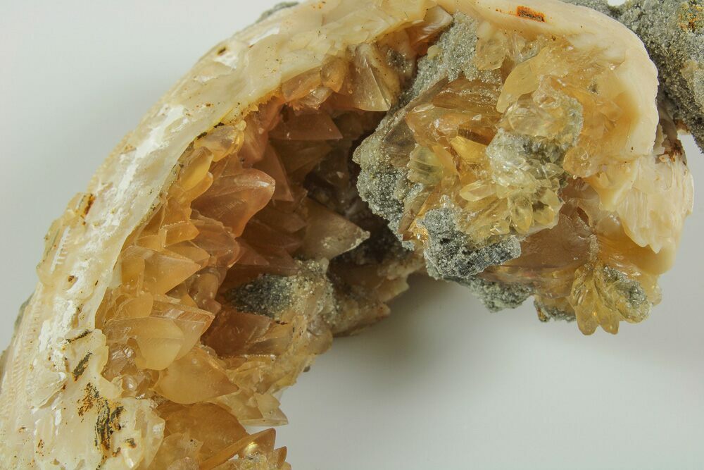 4.1" Fossil Clam with Fluorescent Calcite Crystals - Ruck's Pit ...