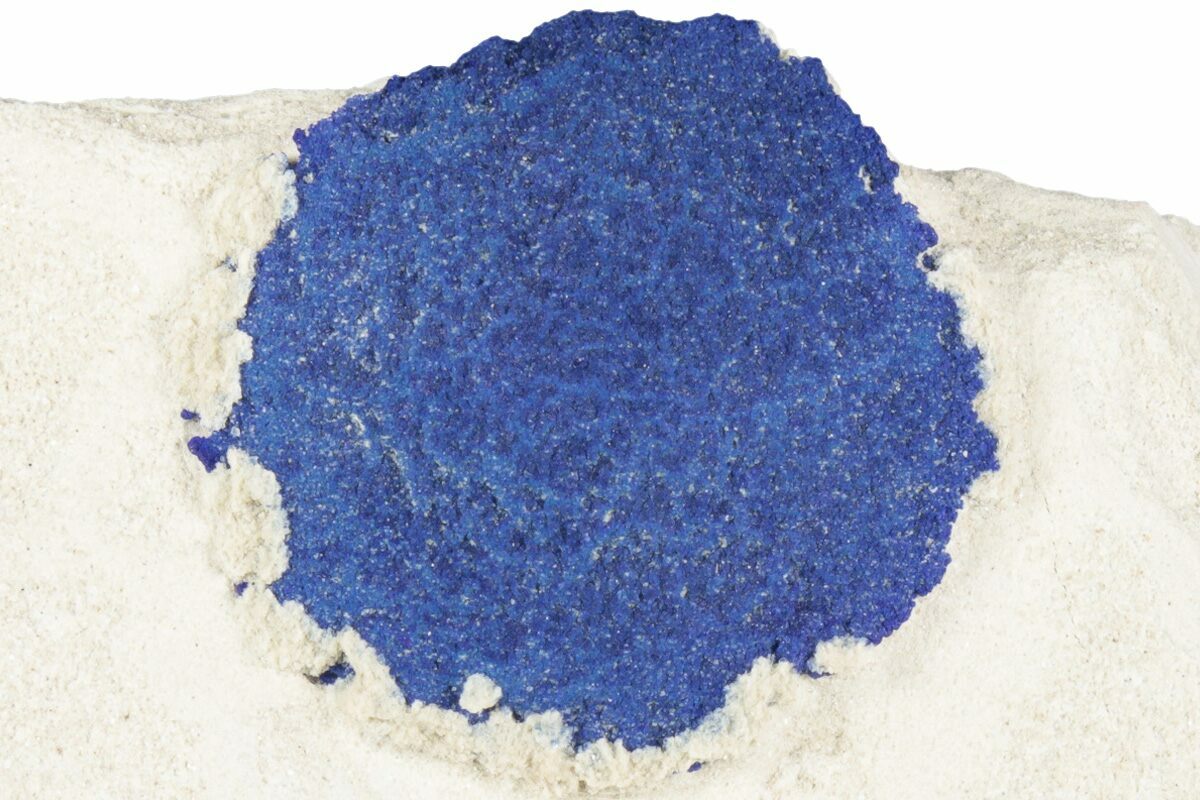 .85" Vibrant Blue Azurite Sun on Siltstone - Australia (#188489) For ...