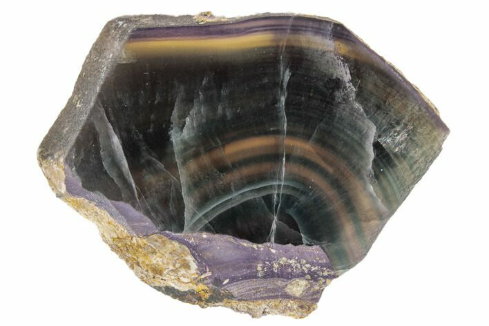 Colorful, 3.9" Polished Rainbow Fluorite Slab (#193345) For Sale ...
