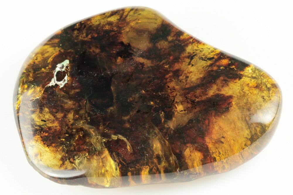 2.7" Polished Chiapas Amber (31 g) - Mexico (#193287) For Sale ...