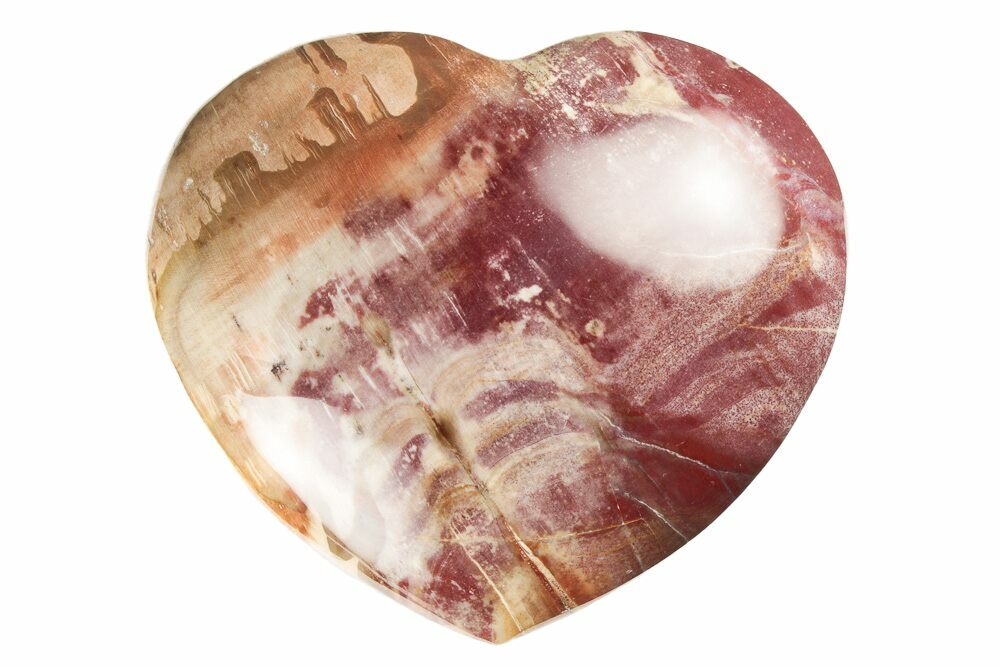 3.5" Polished Triassic Petrified Wood Heart - Madagascar (#194918) For ...