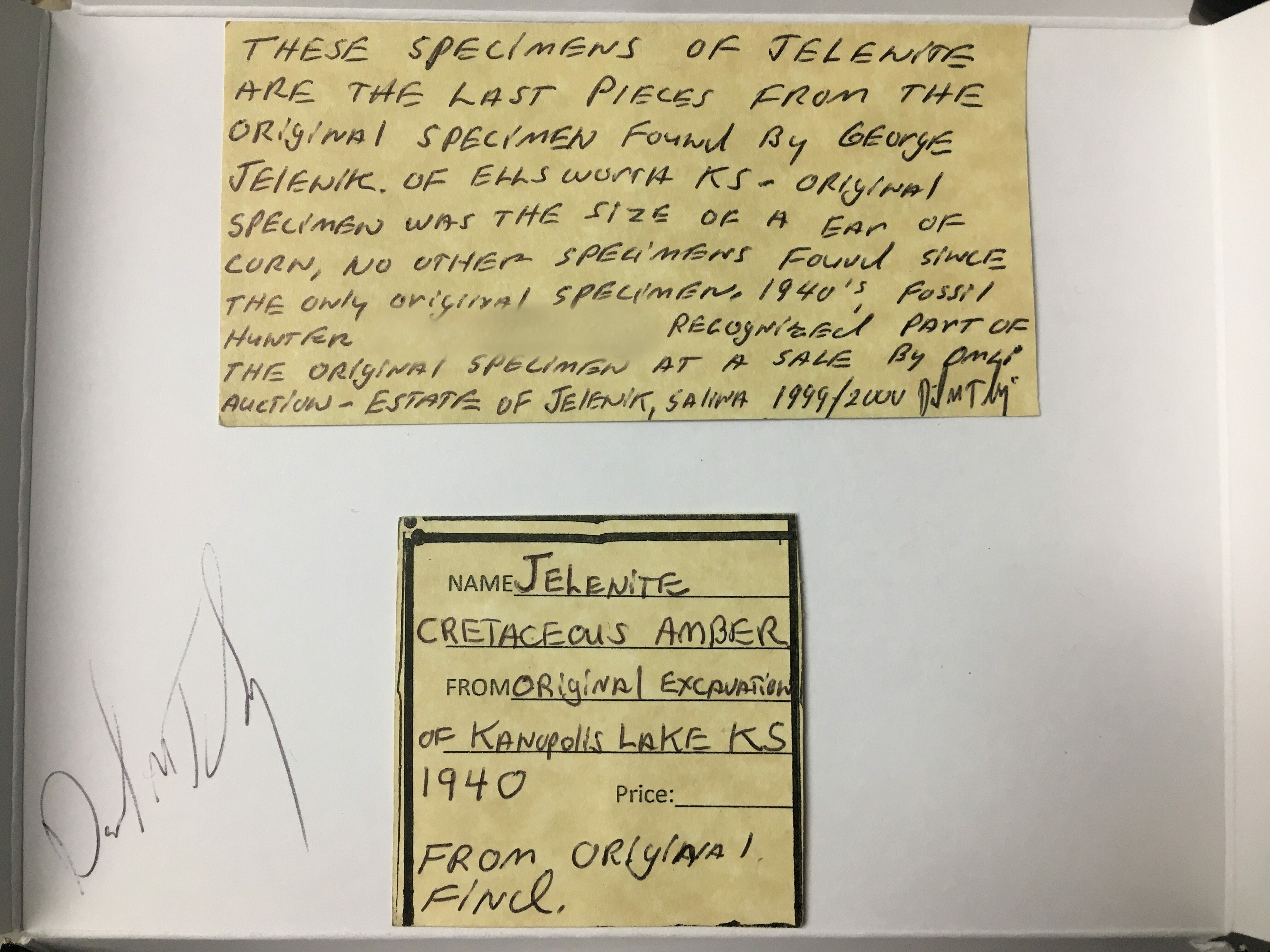 .55" Kansas Amber (Jelinite) Specimen - George Jelinek Collection ...