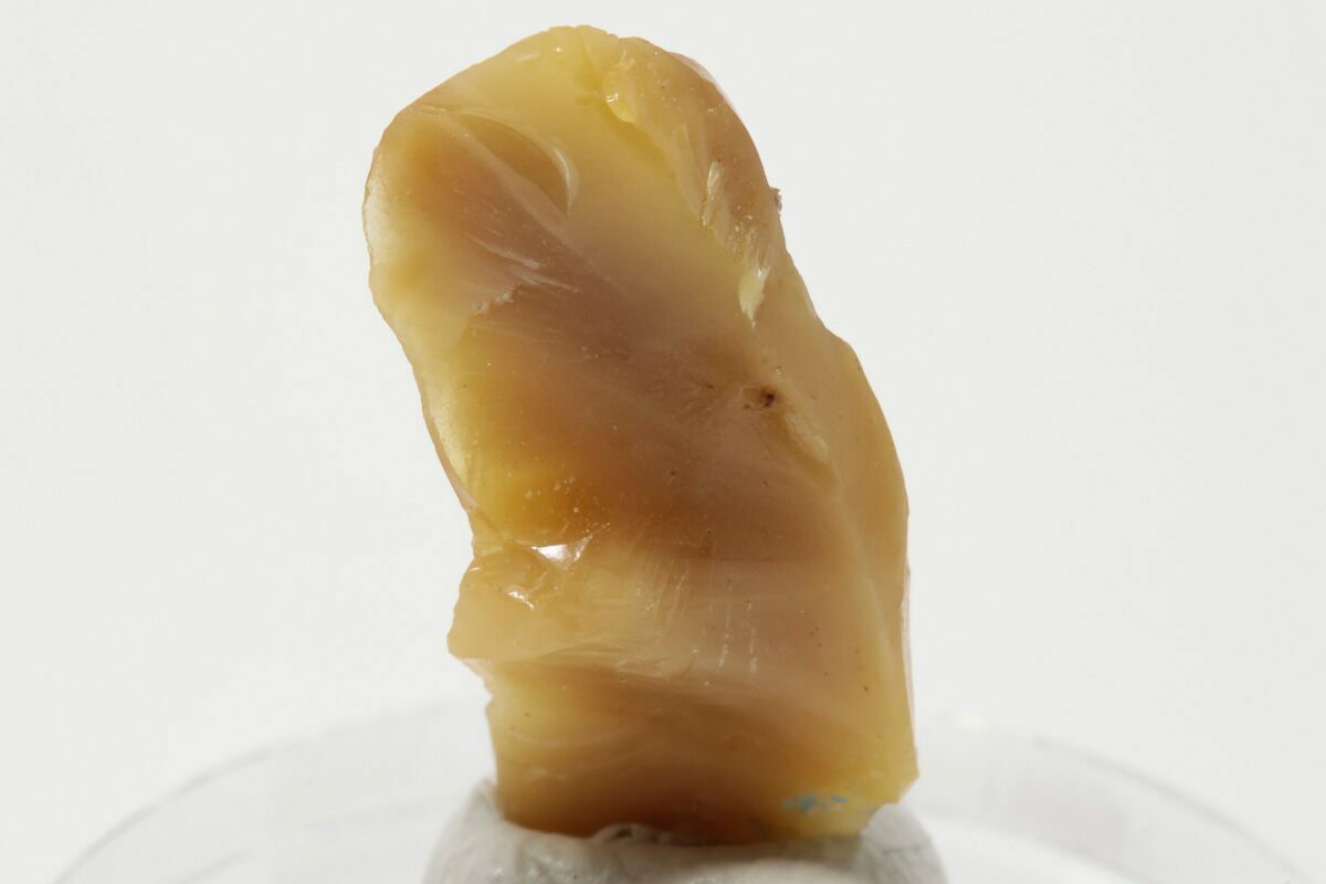 .76" Kansas Amber (Jelinite) Specimen - George Jelinek Collection ...