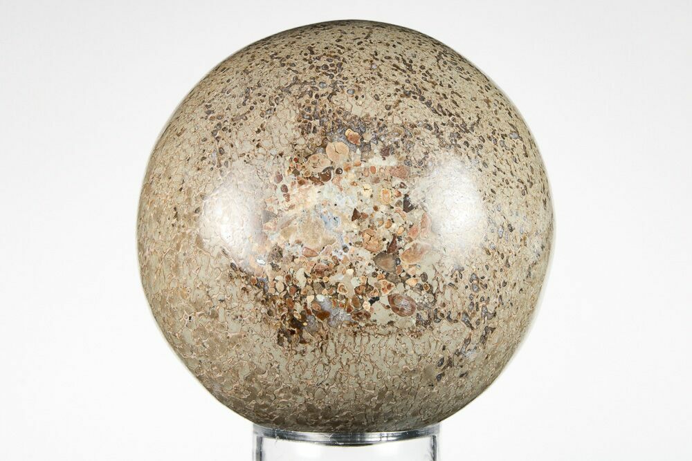 2.7" Polished Agatized Dinosaur (Gembone) Sphere - Morocco (#198416 ...