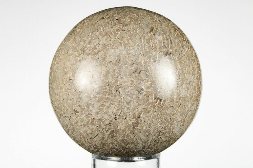 2.7" Polished Agatized Dinosaur (Gembone) Sphere - Morocco (#198416 ...