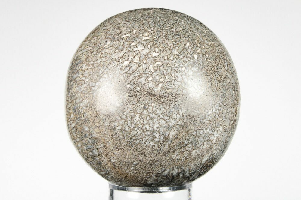 2.7" Polished Agatized Dinosaur (Gembone) Sphere - Morocco (#198420 ...