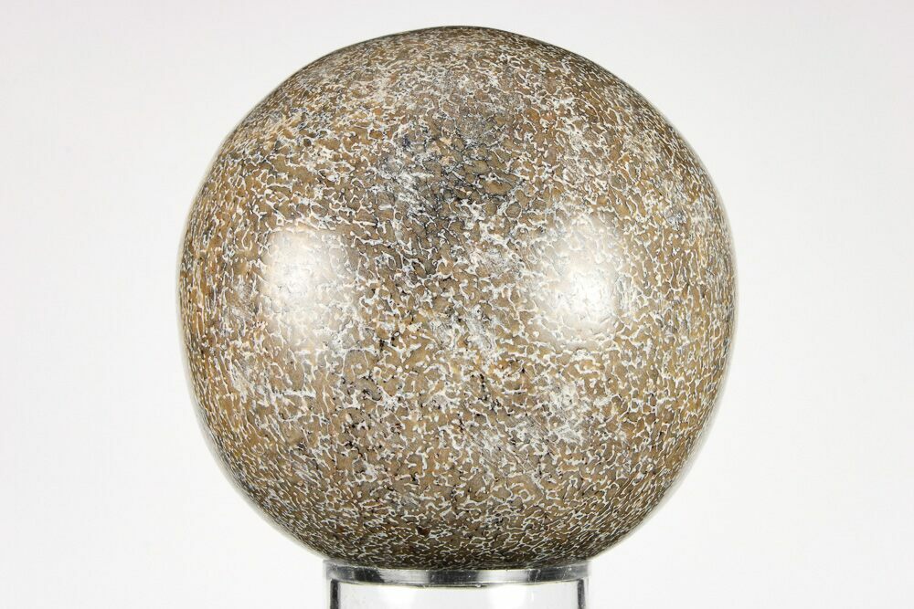 2.6" Polished Agatized Dinosaur (Gembone) Sphere - Morocco (#198506 ...