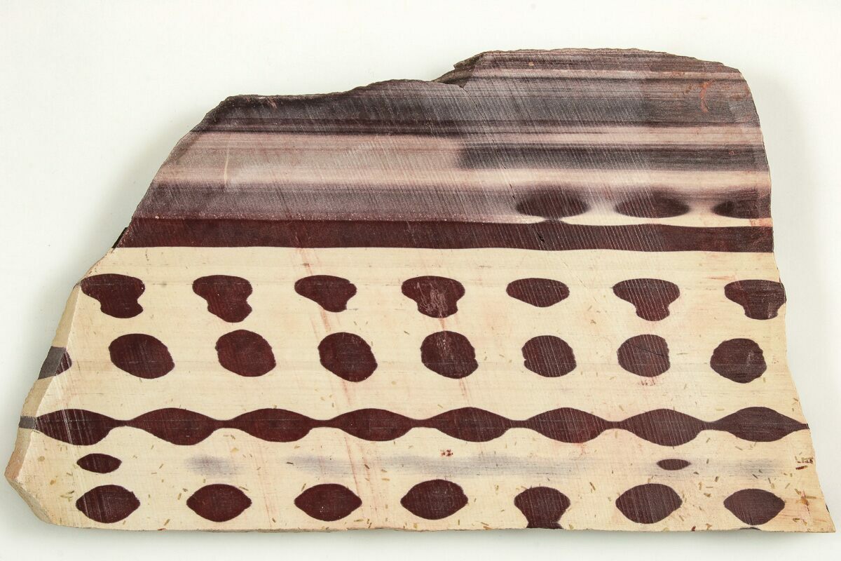 4.7" Polished Slab Of Zebra Stone (Ediacaran Microbialite?) (#208099 ...